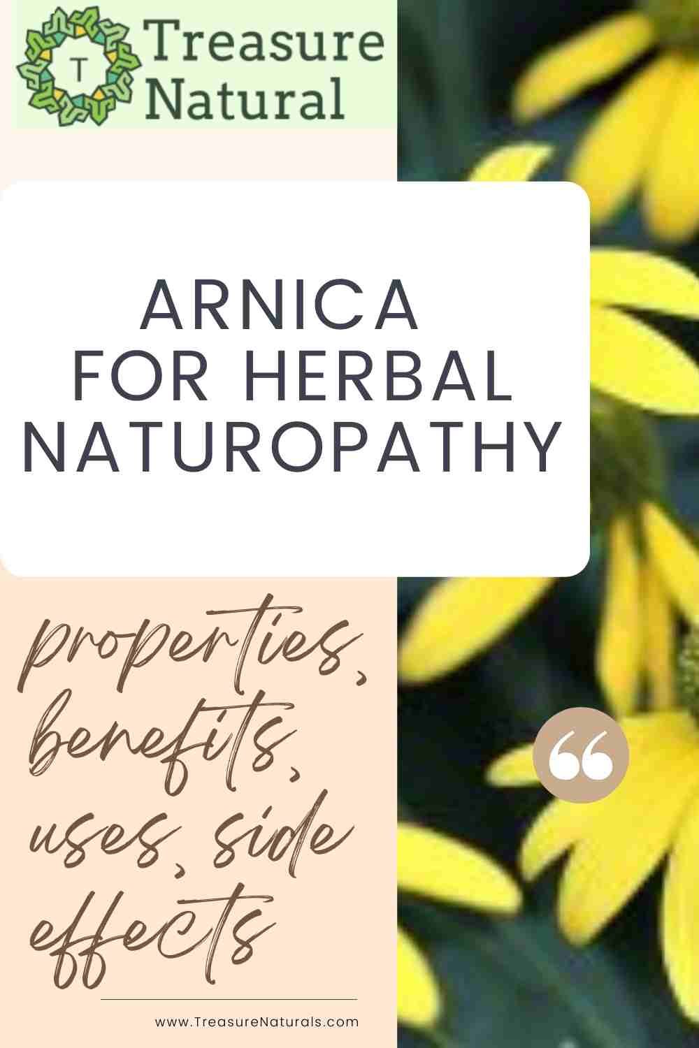 Arnica for Herbal Naturopathy: properties, benefits, uses, side effects - TreasureNatural