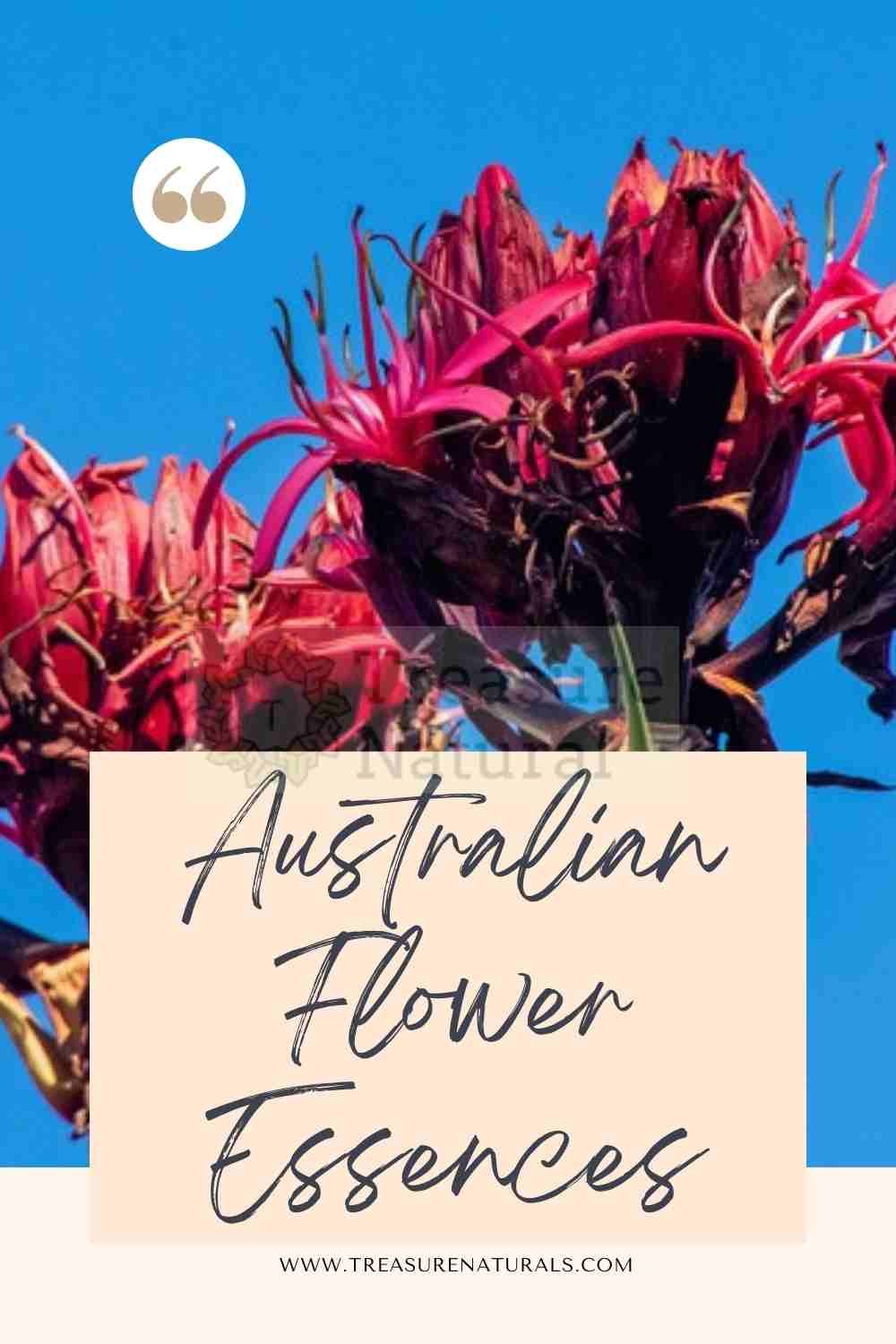 Treasure of Nature - TreasureNatural