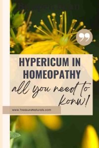 Hypericum in homeopathy (all you need to know) - TreasureNatural