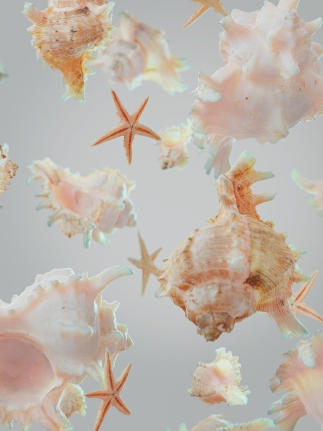 Murex in homeopathy: properties, benefits and uses (all you need to ...