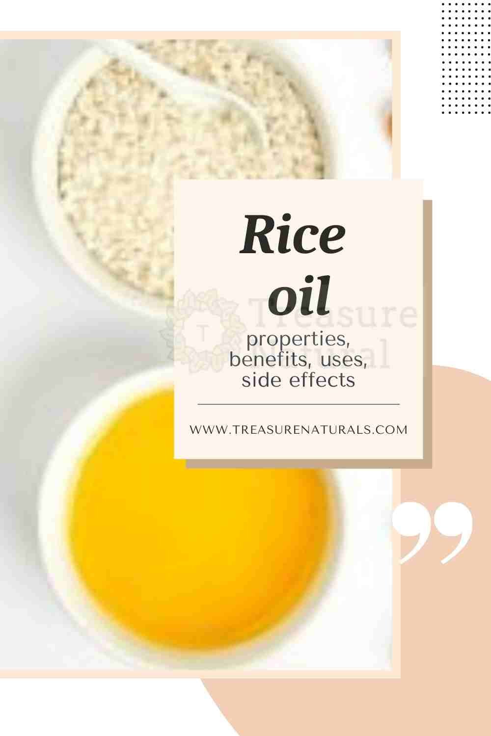 Rice oil: properties and benefits - TreasureNatural