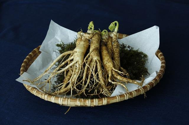 Ginseng in Homeopathy: properties, benefits and uses (all you need to ...