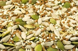 11 types of edible seeds and their properties - TreasureNatural