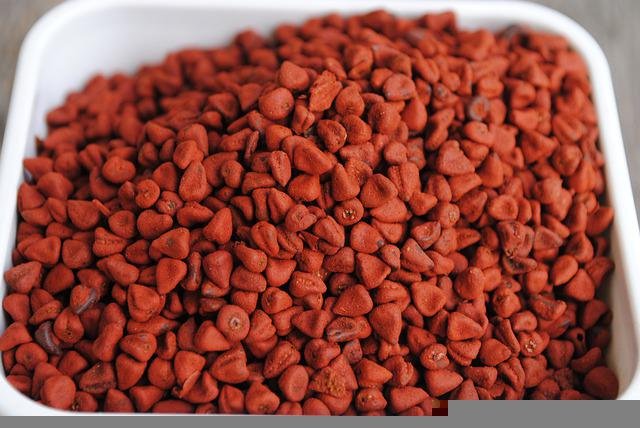 Annatto Seeds: properties, benefits and uses - TreasureNatural