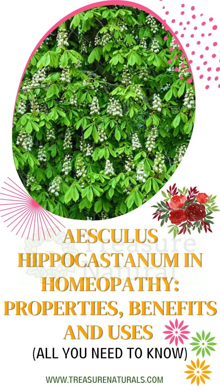 Aesculus Hippocastanum in homeopathy: properties, benefits and uses ...