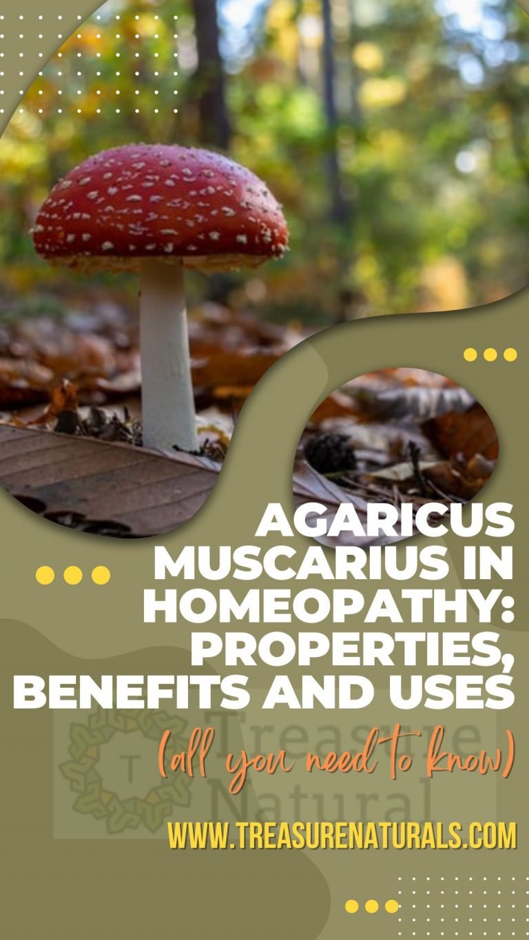 Agaricus Muscarius in homeopathy: properties, benefits and uses (all ...