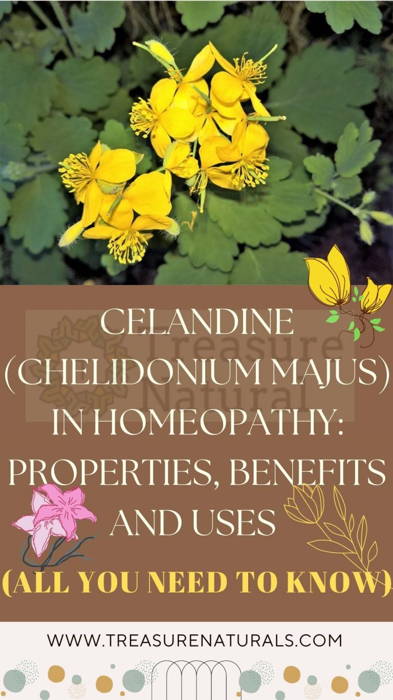 Celandine (Chelidonium majus) in homeopathy: properties, benefits and ...