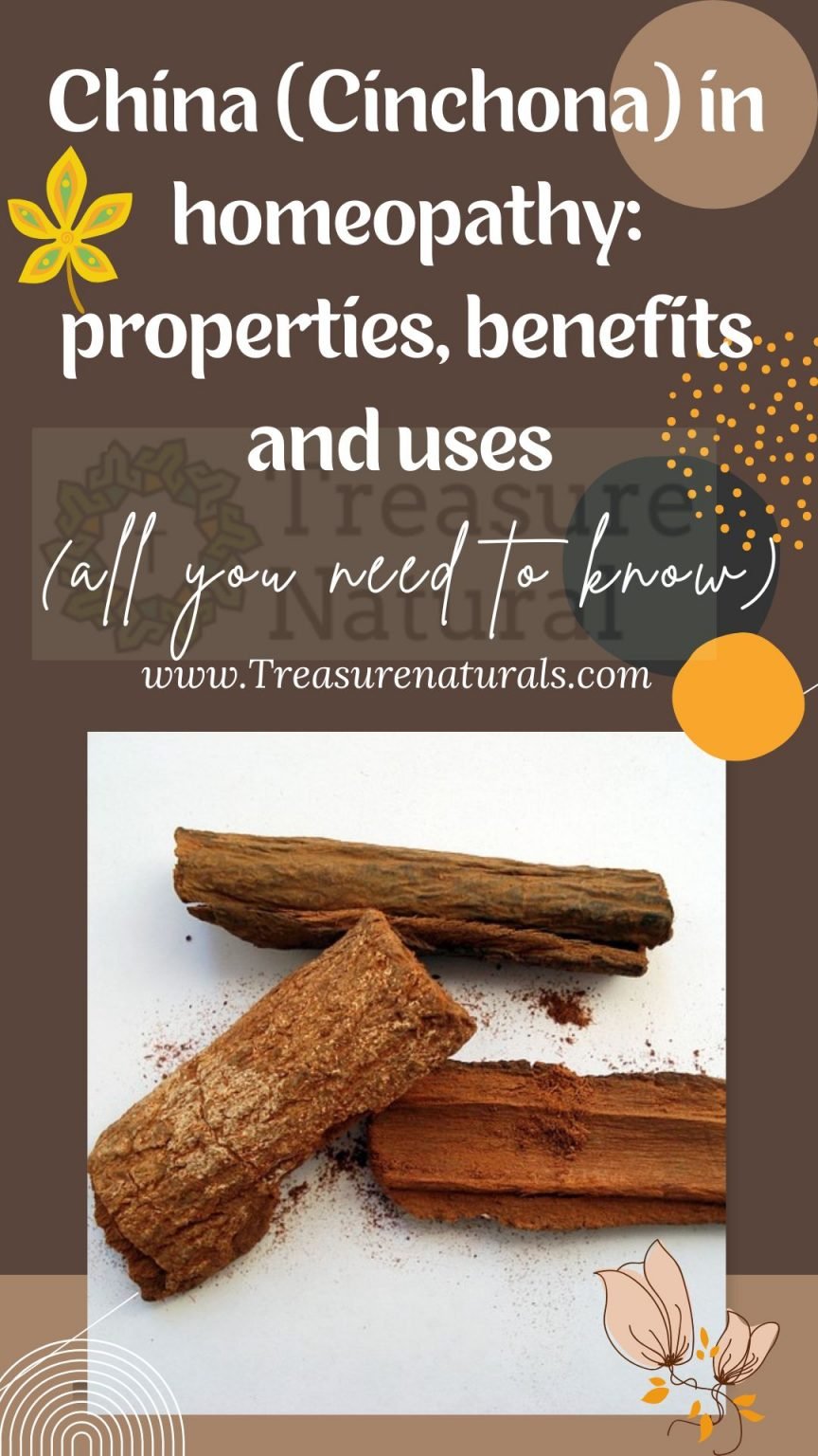 China (Cinchona) in homeopathy: properties, benefits and uses (all you ...