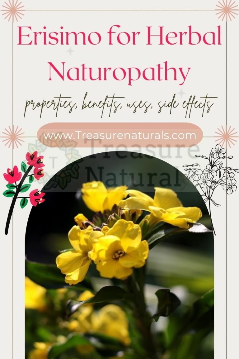 Erisimo for Herbal Naturopathy: properties, benefits, uses, side ...
