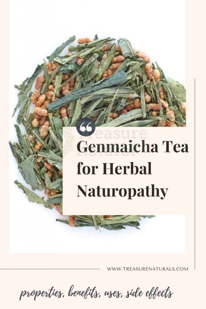 Genmaicha Tea Properties Benefits Uses Side Effects TreasureNatural Genmaicha Tea Properties Benefits Uses Side Effects TreasureNatural