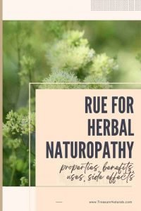 Rue for Herbal Naturopathy: properties, benefits, uses, side effects ...