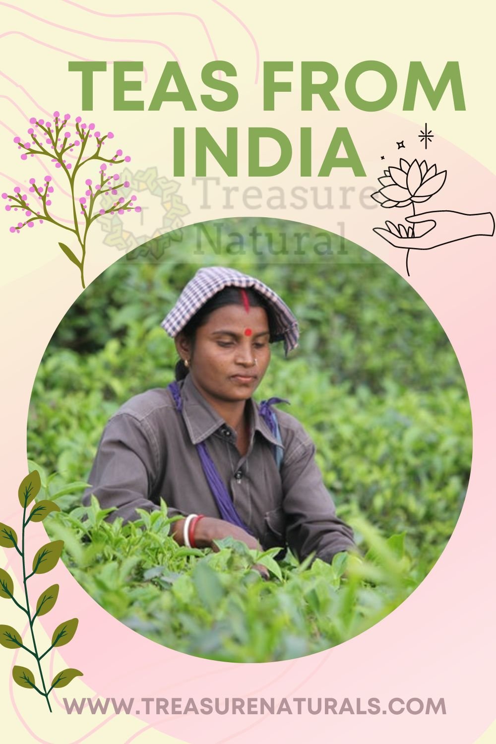 Teas from India - TreasureNatural