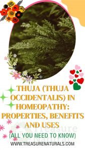 Thuja (Thuja occidentalis) in homeopathy: properties, benefits and uses ...