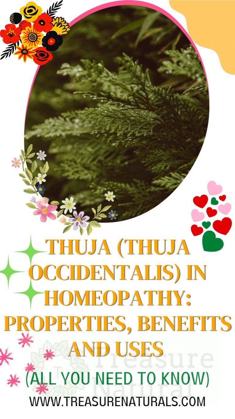 Thuja (Thuja occidentalis) in homeopathy: properties, benefits and uses ...