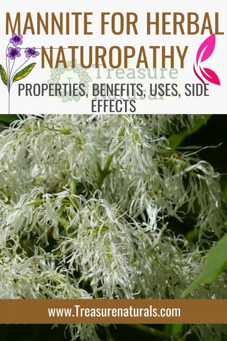 Mannite for Herbal Naturopathy: properties, benefits, uses, side ...