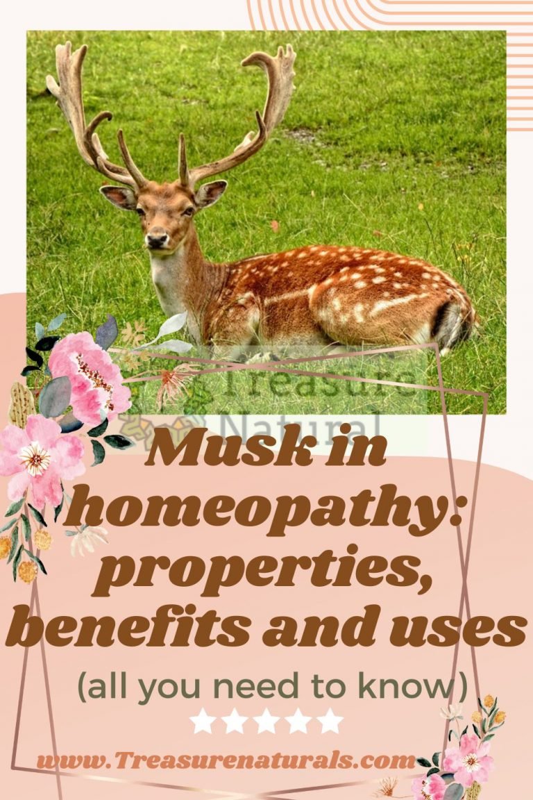 Musk in homeopathy: properties, benefits and uses (all you need to know ...