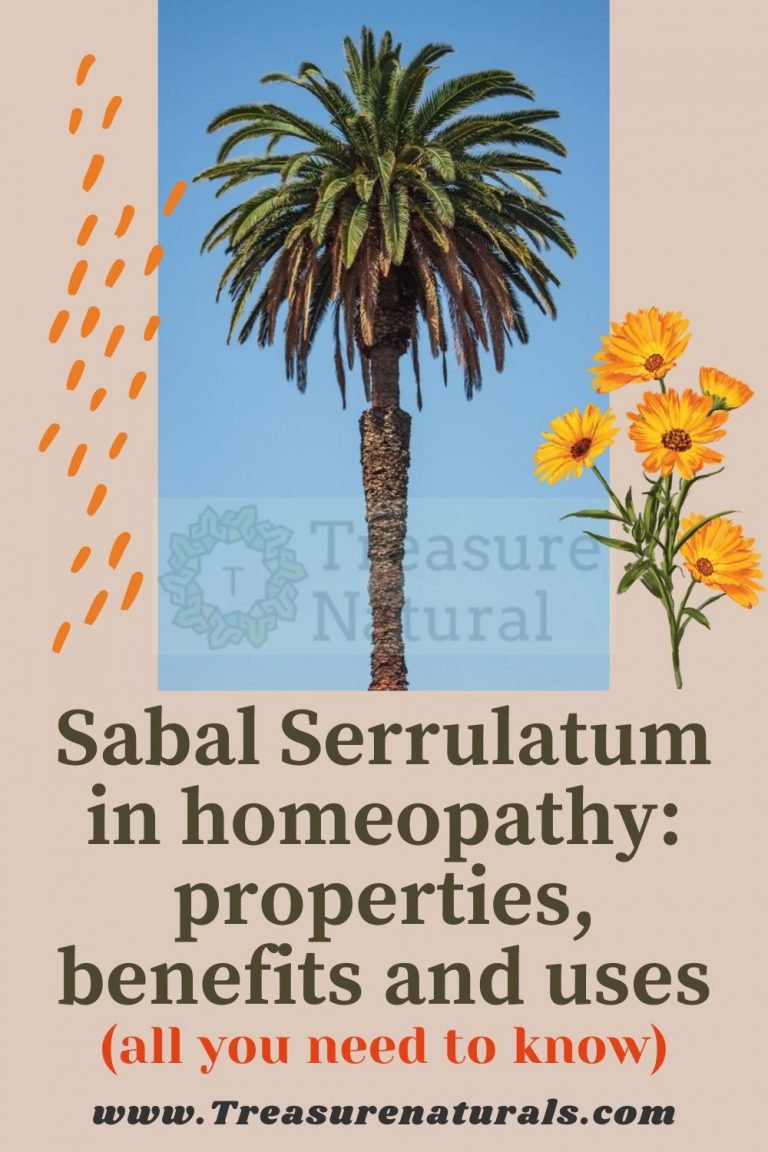 Sabal Serrulatum in homeopathy: properties, benefits and uses (all you ...