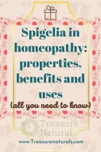 Spigelia in homeopathy: properties, benefits and uses (all you need to ...