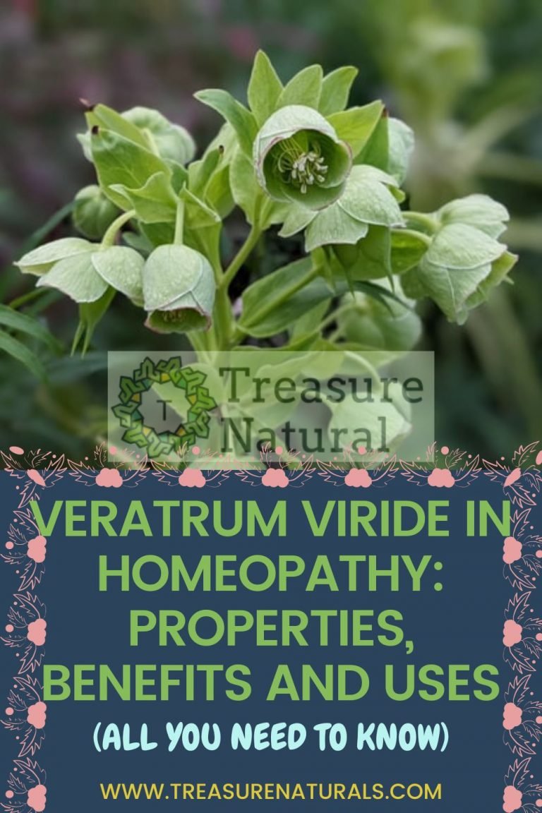 Veratrum Viride in homeopathy: properties, benefits and uses (all you ...